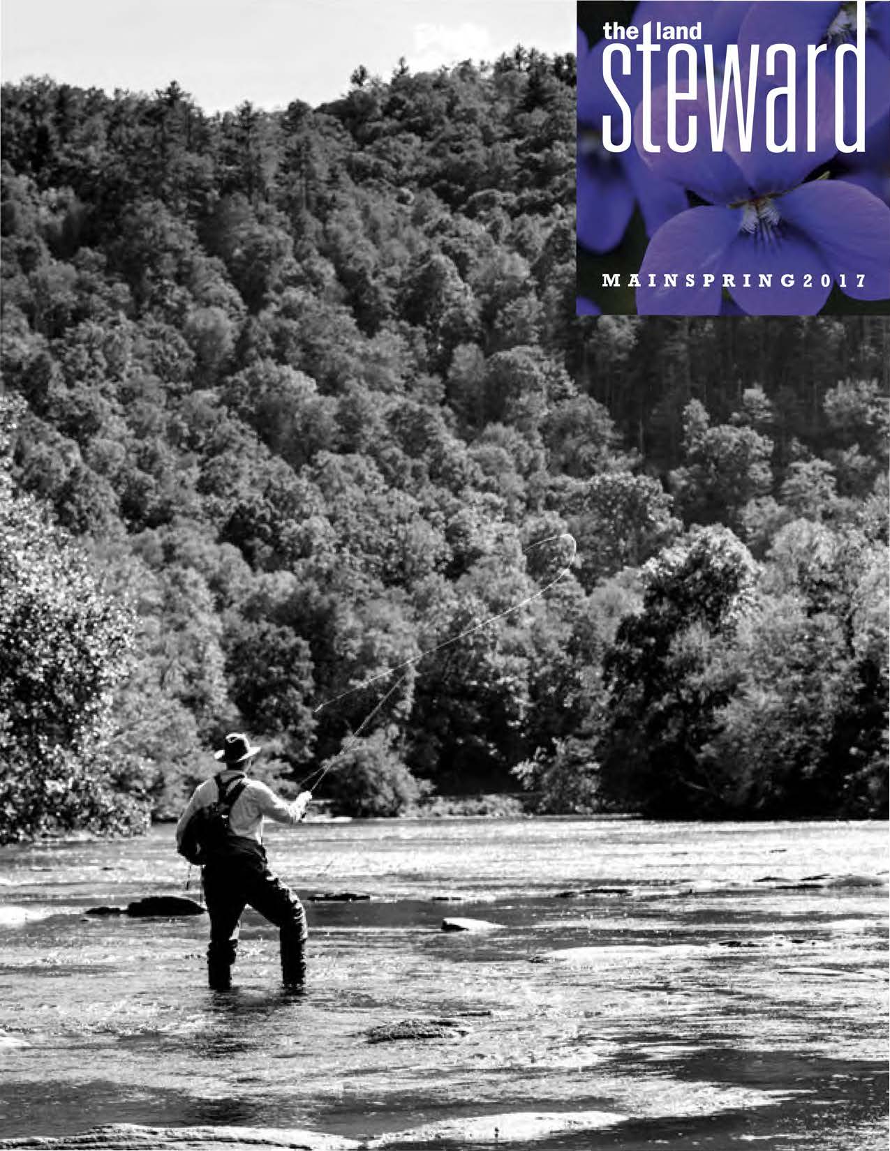 Publications ~ Mainspring Conservation Trust